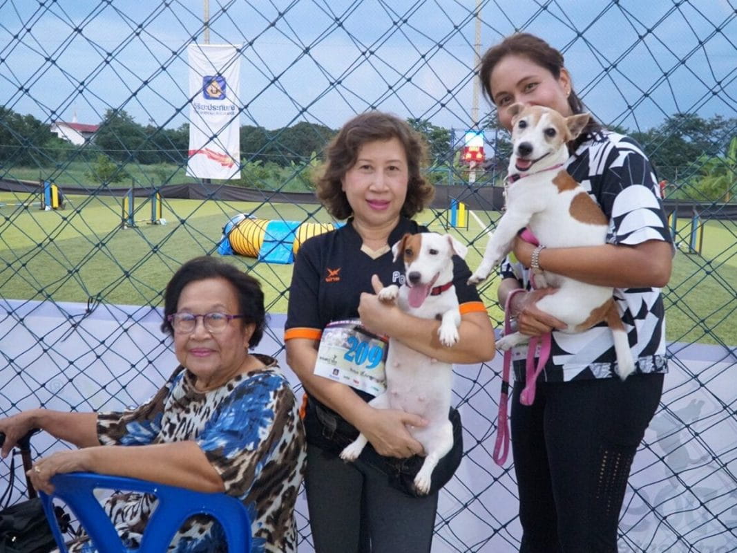 Bounce Dog Agility Competition 2019 | International Pet Food Co.,Ltd.