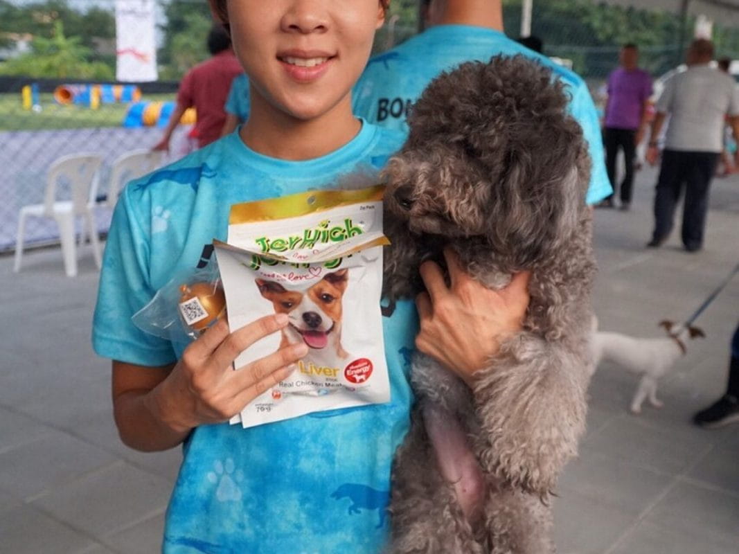 Bounce Dog Agility Competition 2019 | International Pet Food Co.,Ltd.